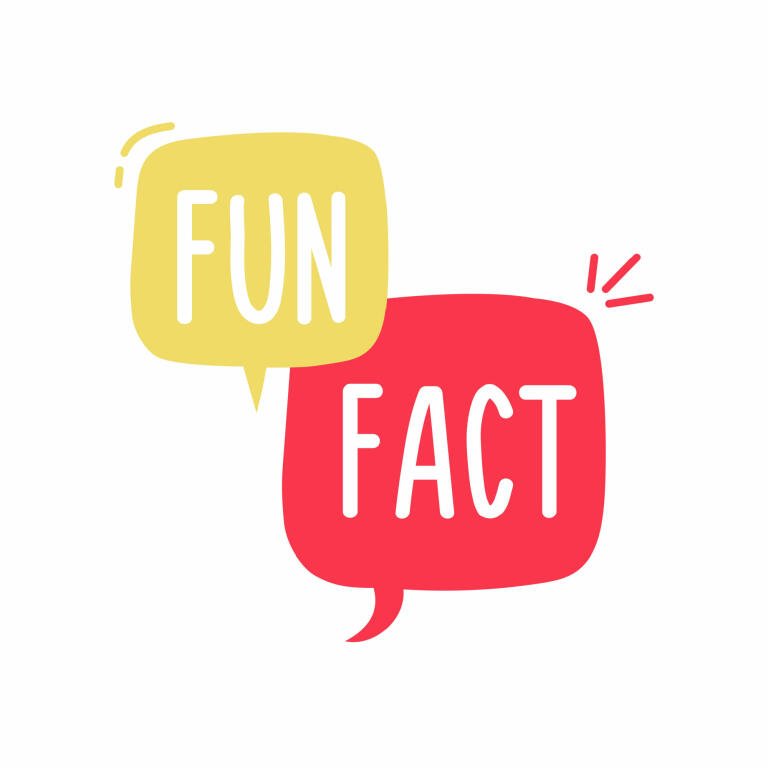 Fun Facts about Freight Trucks | Interesting Facts About Trucks & Trucking